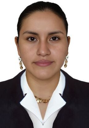 Plana Jerárquica – IESTP Francisco Vigo Caballero